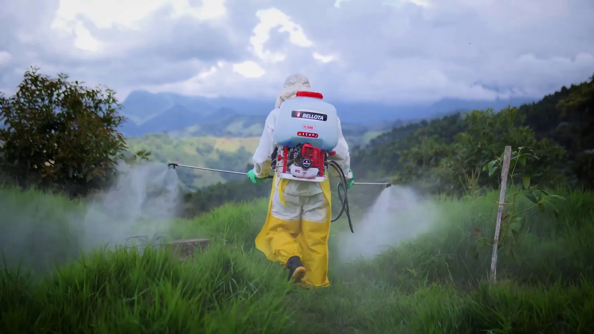 Fumigadora a vapor, beneficios y uso eficiente